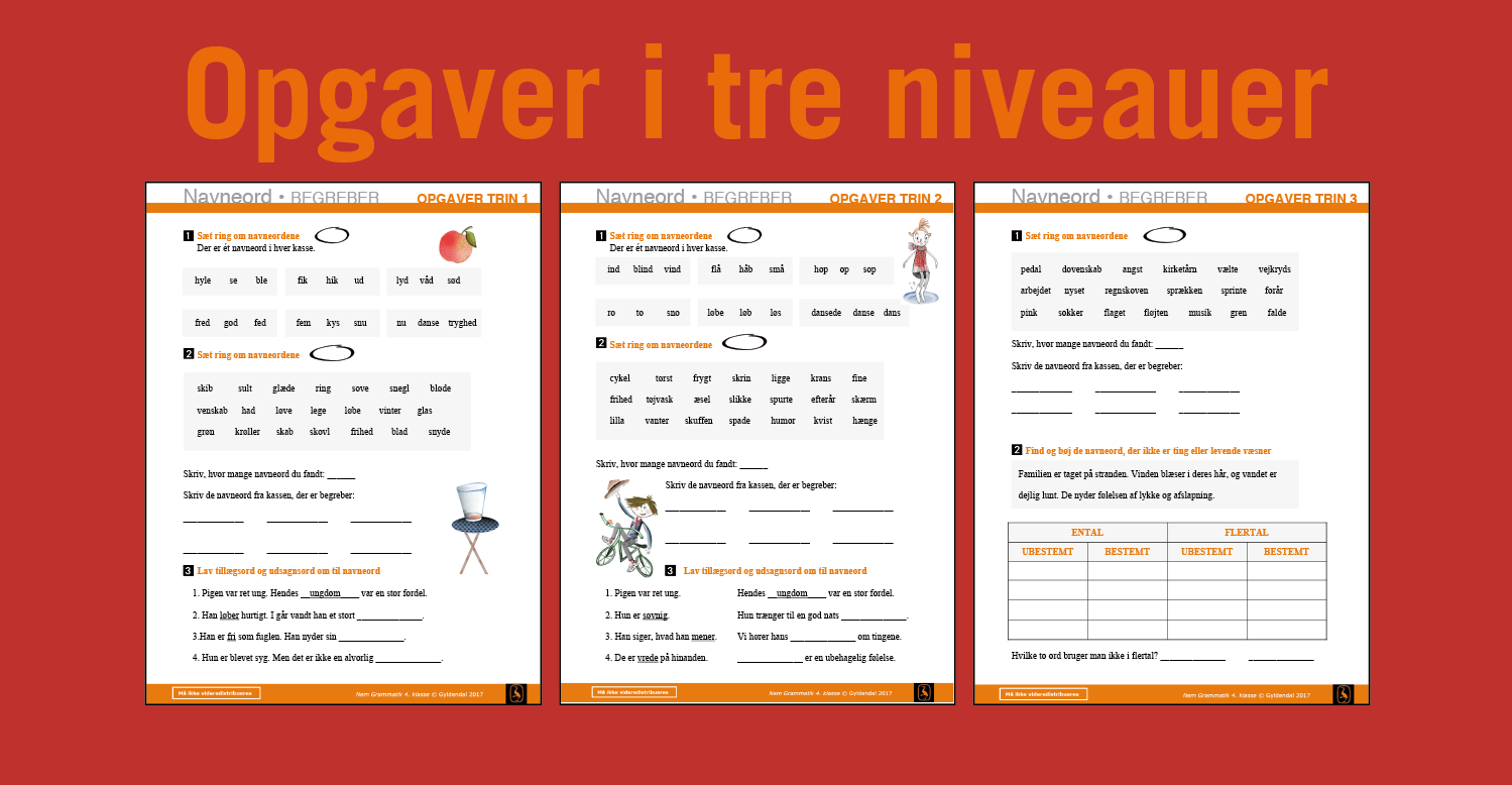 Navneord 3. Navneord Og Artikler | KNORD PERNILLE SPANSK BLOG