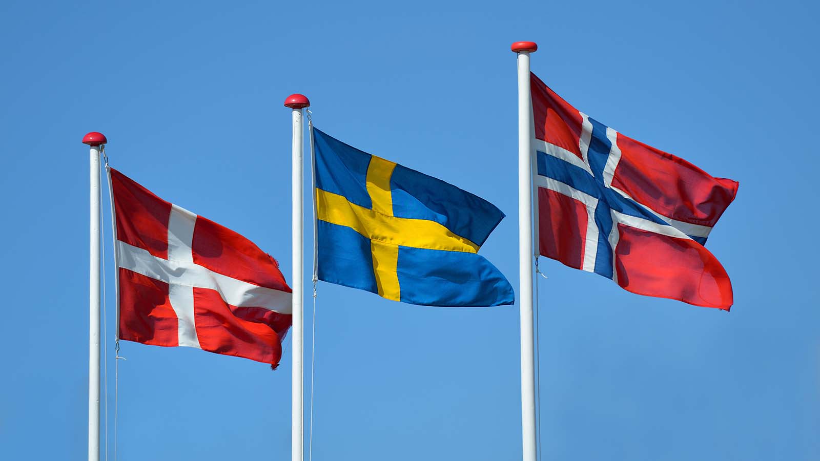 8. Et vers på norsk | Dansk 0-2 | Gyldendals fagportaler