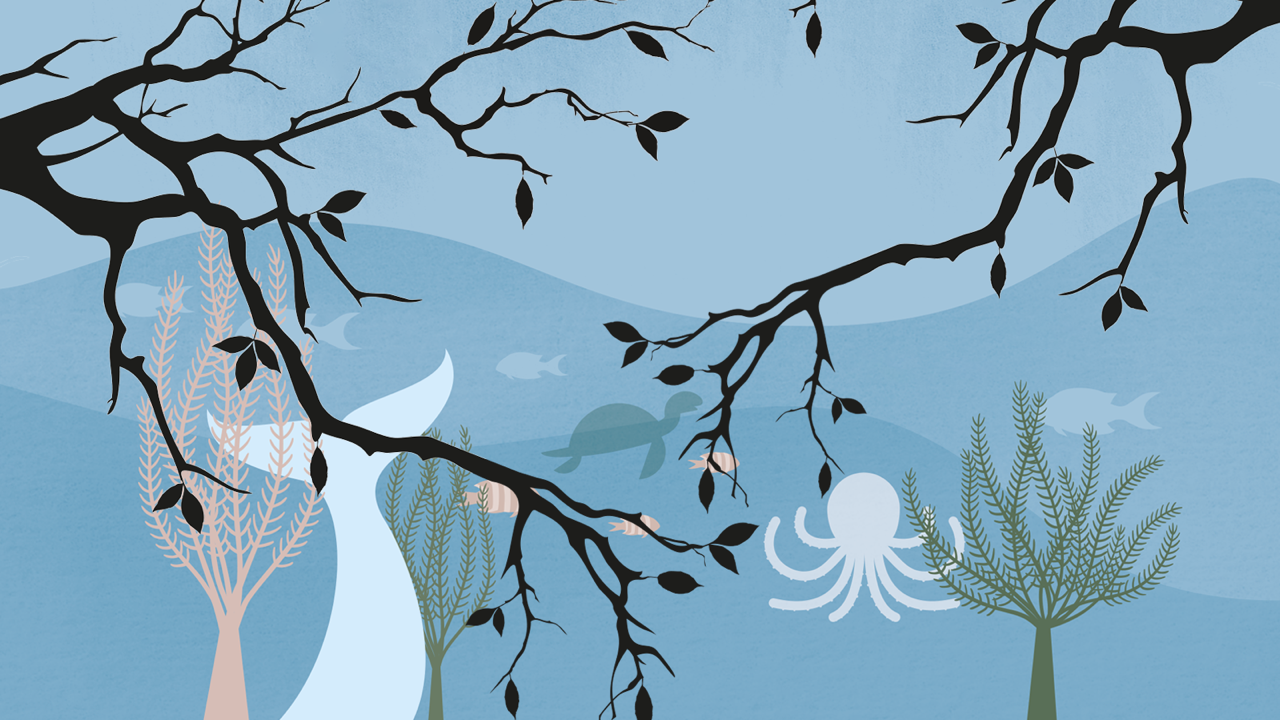 Intro | Dansk 3-6 | Gyldendals fagportaler