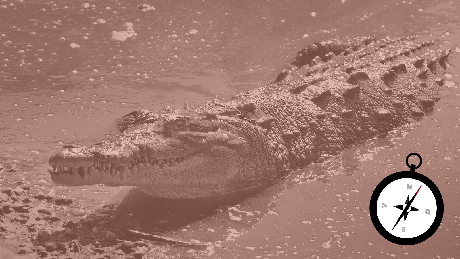 Døden skal du lide | Dansk 3-6 | Gyldendals fagportaler