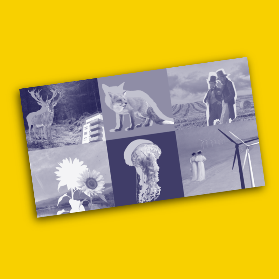 Billedbingo | Dansk 7-10 | Gyldendals fagportaler