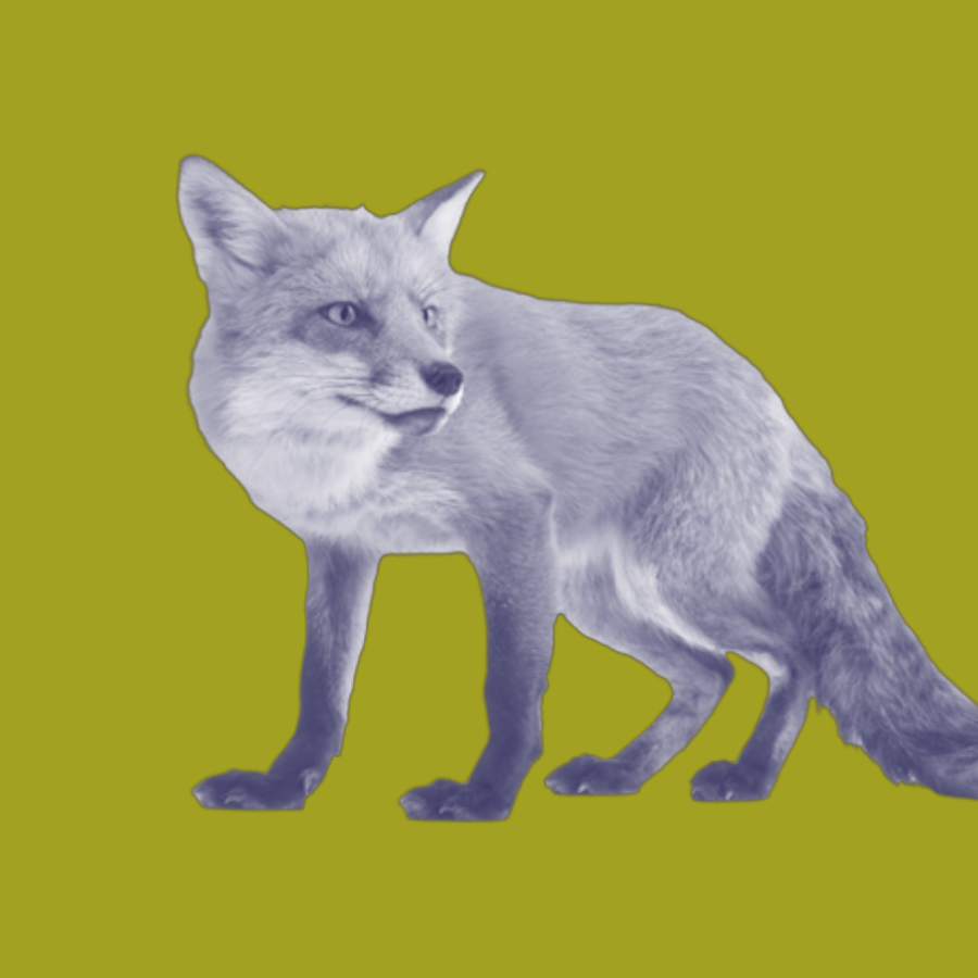 Karakter: Jæger i skoven | Dansk 7-10 | Gyldendals fagportaler