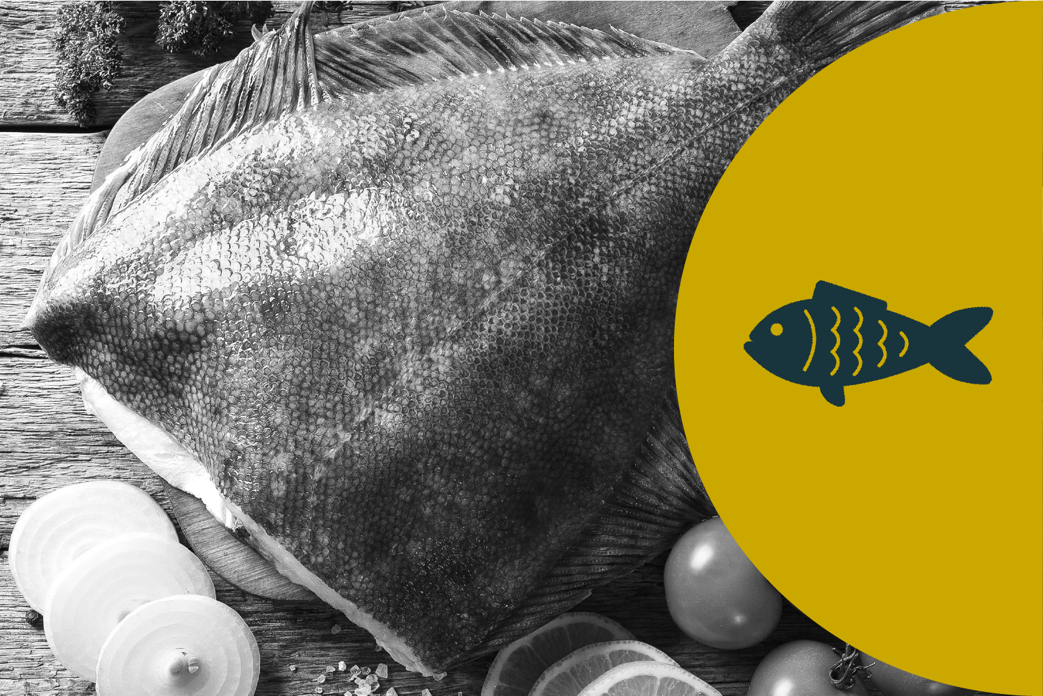 Frisk fisk | Madkundskab 5-8 | Gyldendals fagportaler