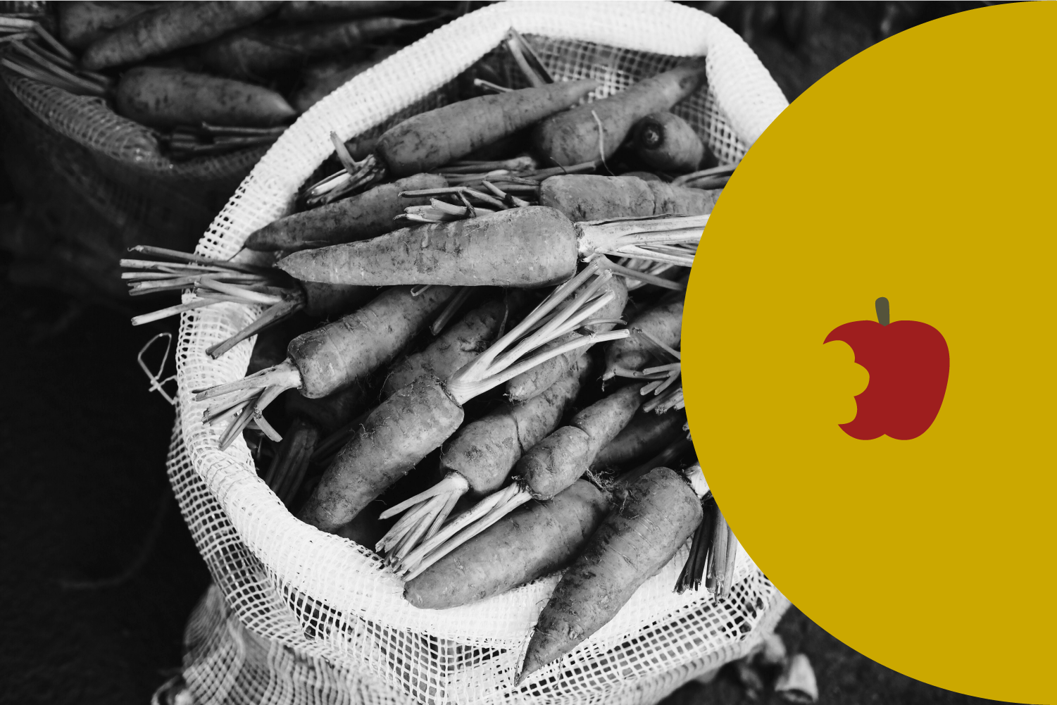 Madspild i hjemmet | Madkundskab 5-8 | Gyldendals fagportaler