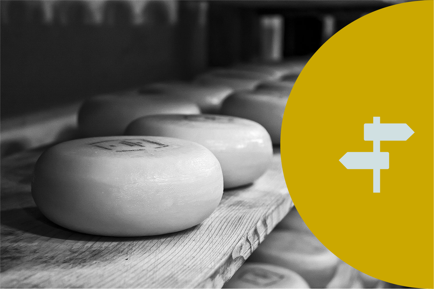 Er mælk sundt? | Madkundskab 5-8 | Gyldendals fagportaler