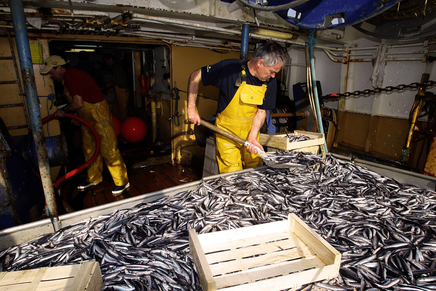 Jobs i Danmark | Samfundsfag 8-10 | Gyldendals fagportaler