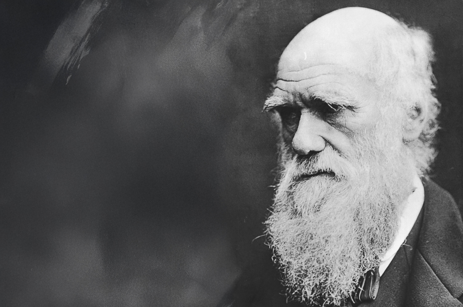 Evolution | Biologi 7-9 | Gyldendals fagportaler