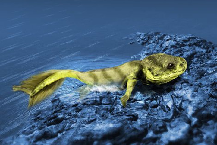 Forløb | Biologi 7-9 | Gyldendals fagportaler