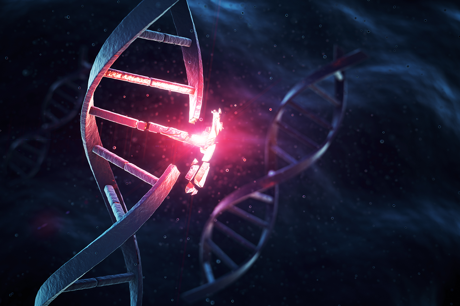 Sådan skal du arbejde | Biologi 7-9 | Gyldendals fagportaler