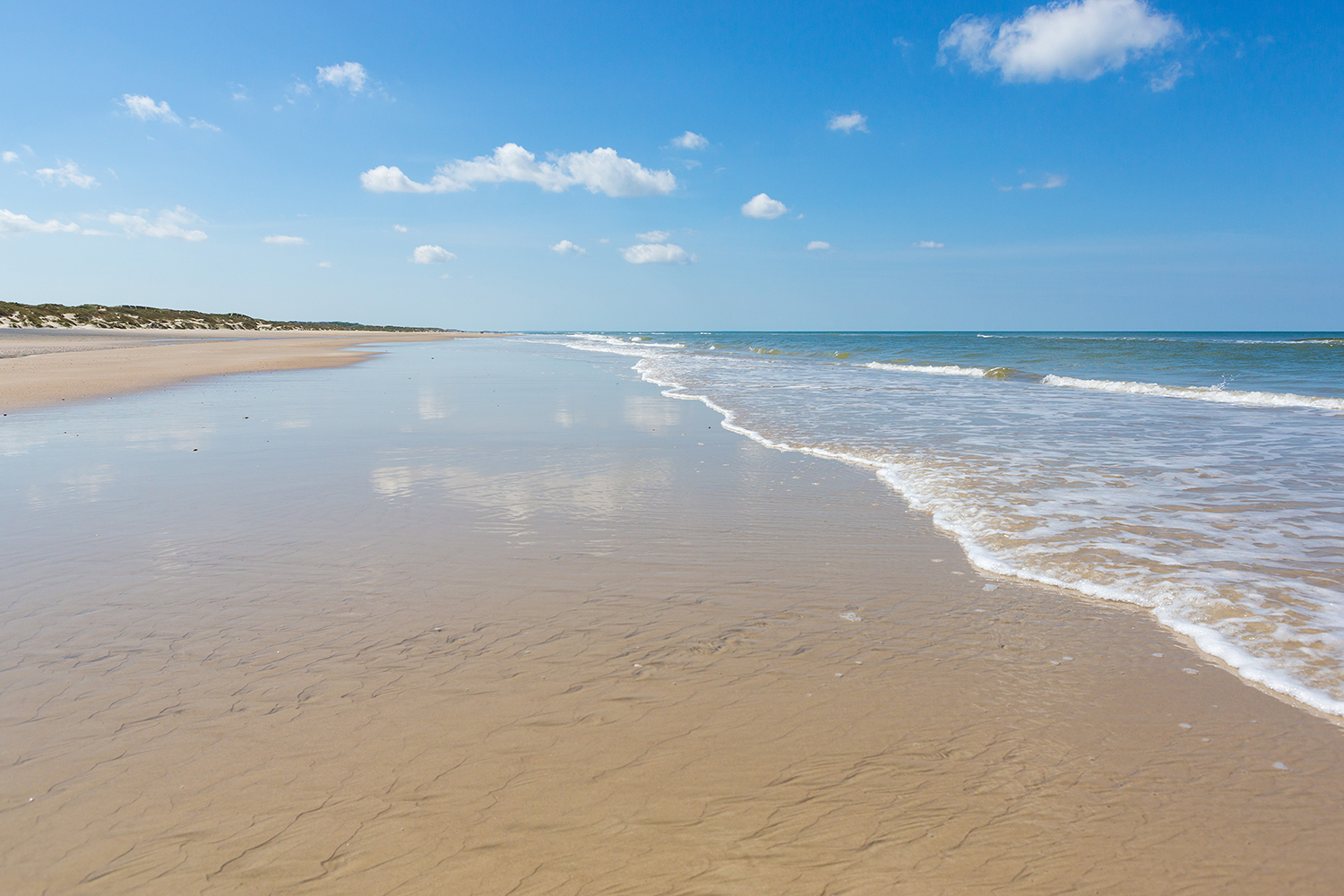 2. Introduktion | Biologi 7-9 | Gyldendals fagportaler