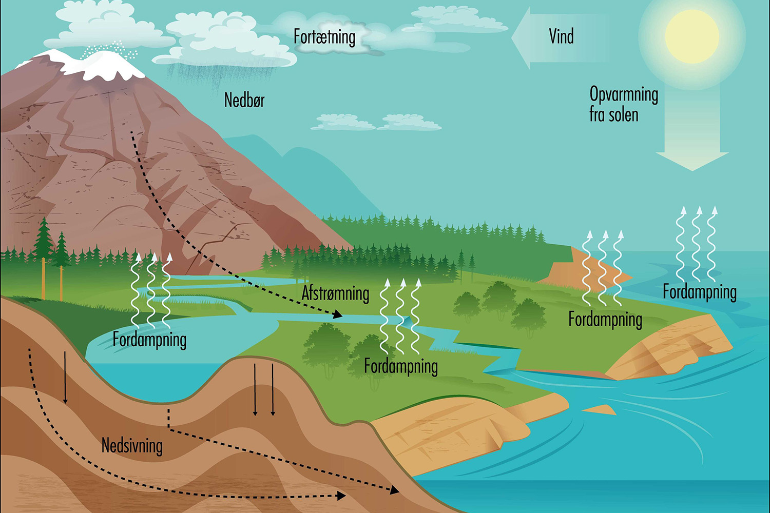 Vandets kredsløb | Fysik/kemi 7-10 | Gyldendals fagportaler