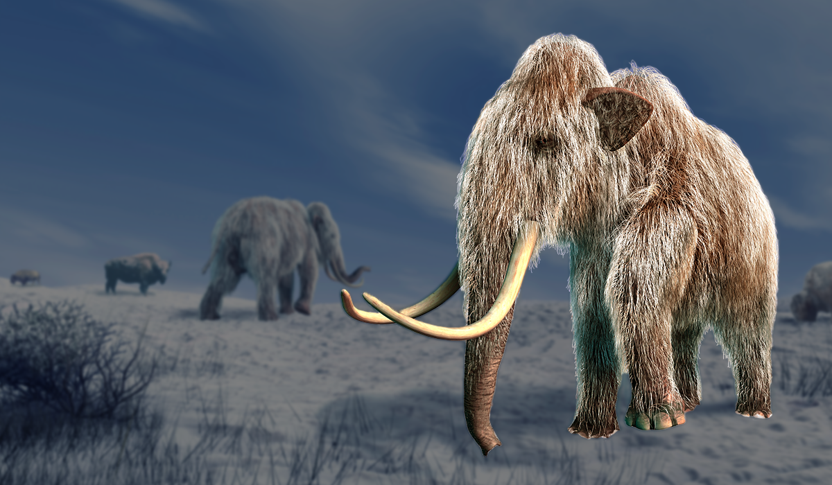 Tilbage til istiden | Geografi 7-9 | Gyldendals fagportaler