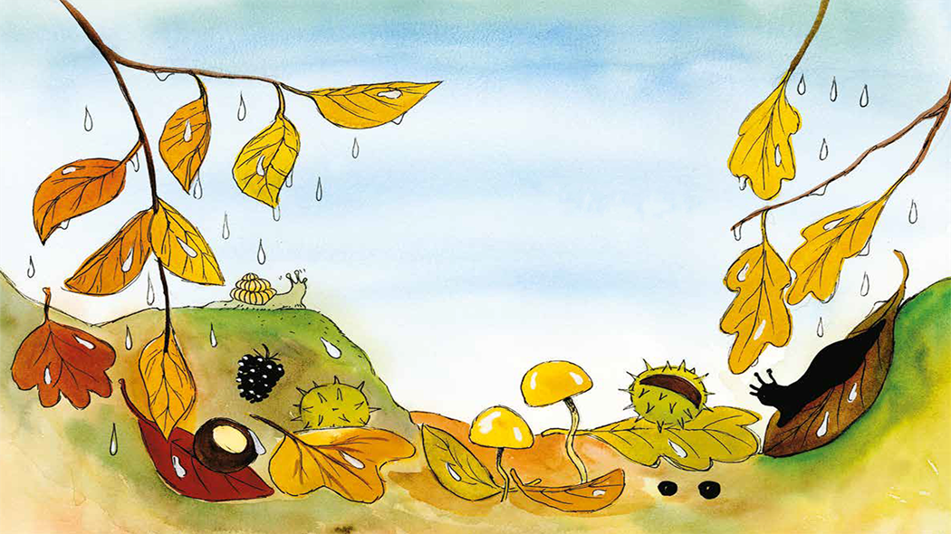 Efterår | Natur/teknologi 1-3 | Gyldendals fagportaler