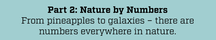 Pick a Number | Engelsk 7-10 | Gyldendals fagportaler