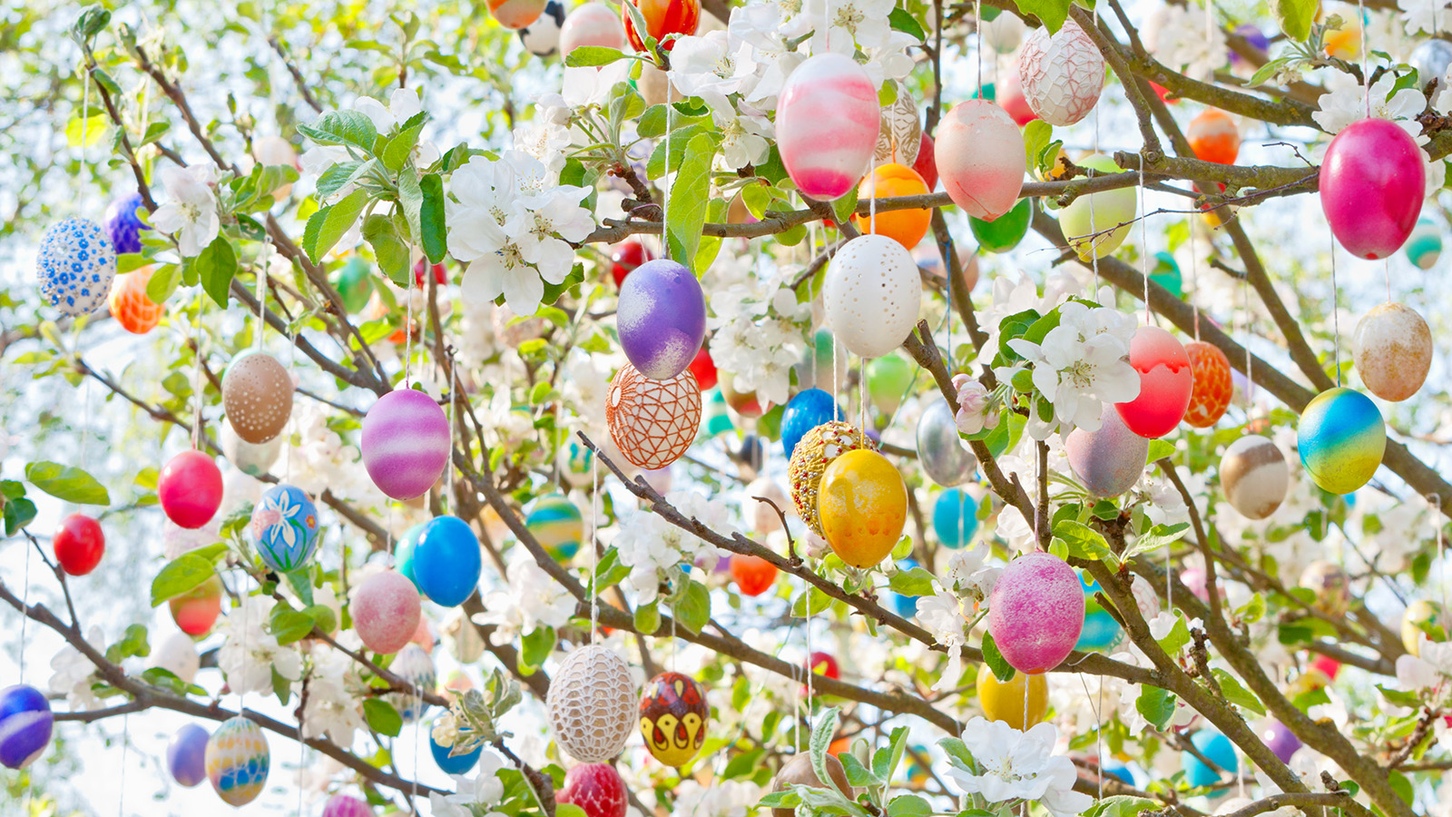 1. Das lerne ich! | Tysk 5-7 | Gyldendals fagportaler